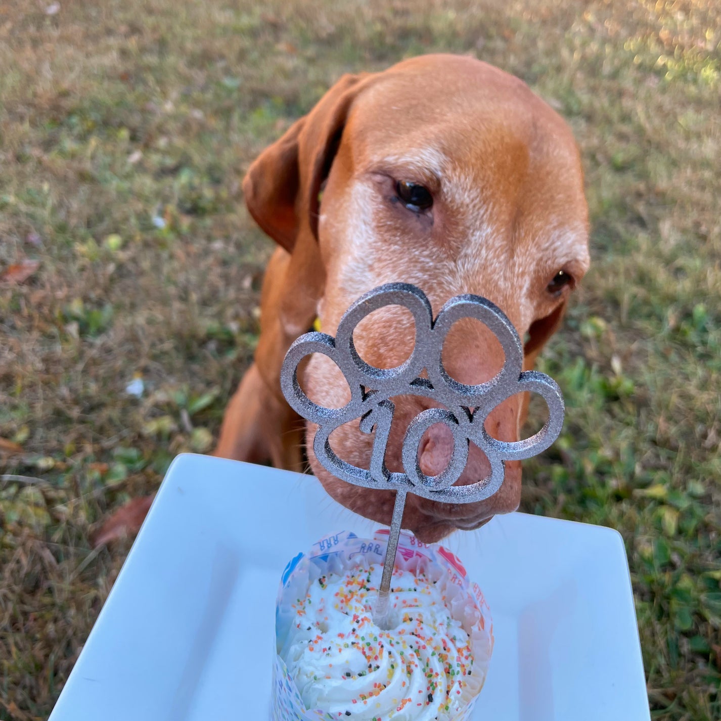 Laser cut file, Pet Birthday cake topper, furry friend birthday cupcak ...